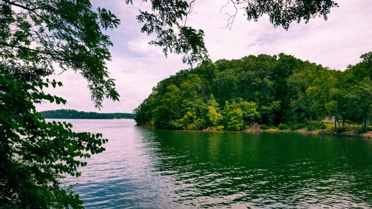 Smith Mountain Lake Hiking: 5 Easy Trails with Beautiful Lake Views ...