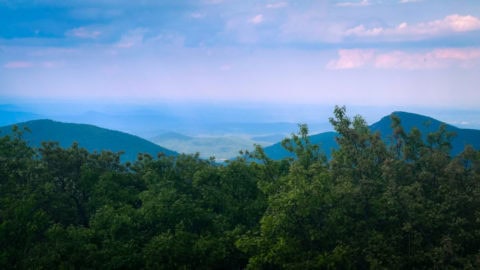 Hawksbill Summit: 3 Ways to Hike Shenandoah’s Highest Mountain - Comet ...